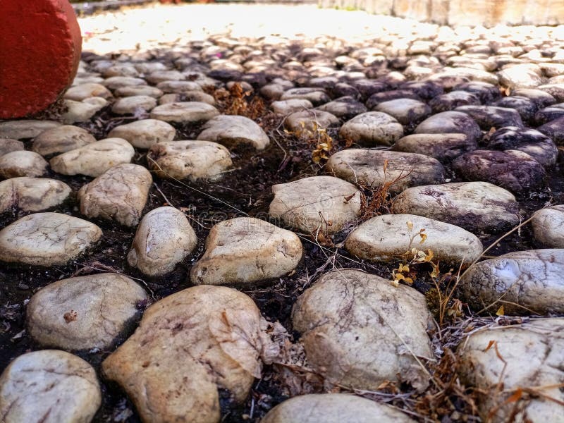White Stones Arranged As a Floor in a Garden Stock Photo - Image of ...