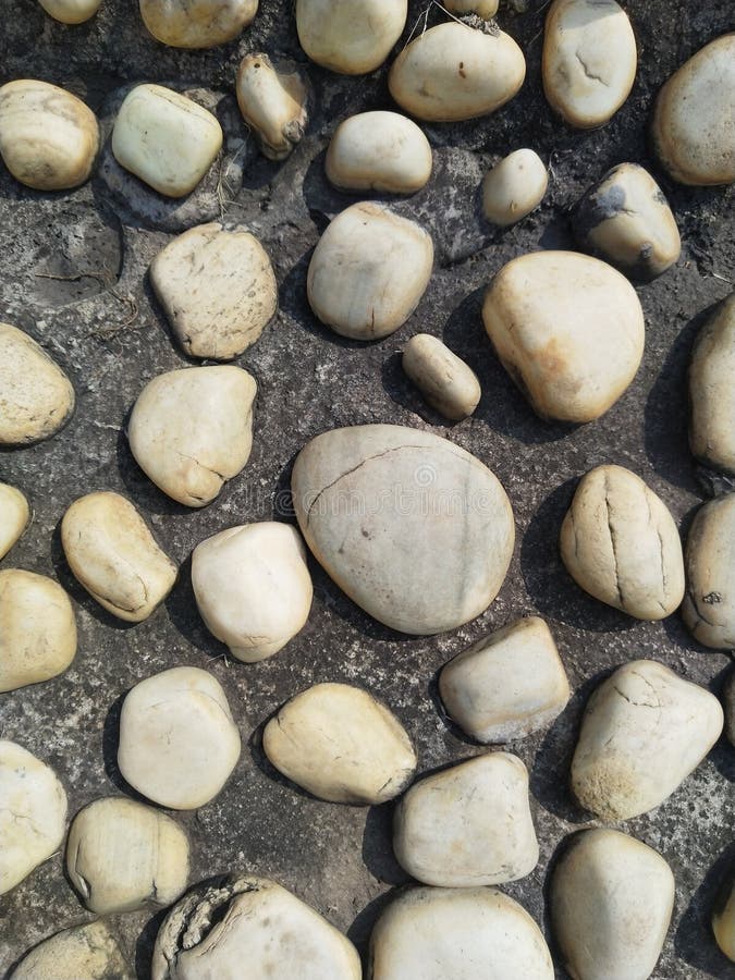 White Stones Arranged on Ground. Stock Image - Image of stones ...