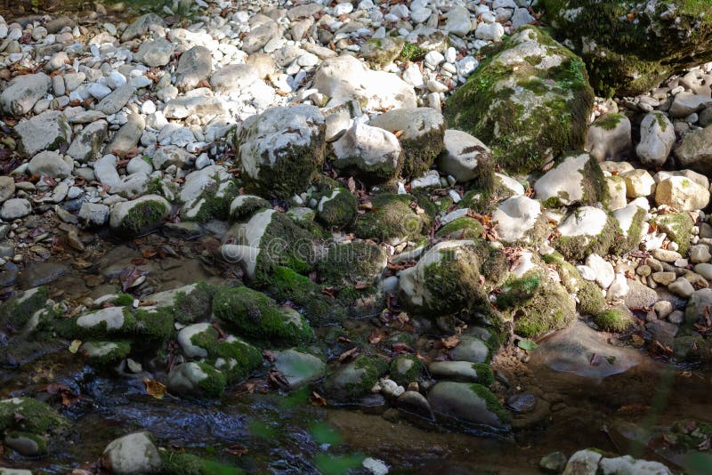 White Stones Covered with Moss Stock Photo - Image of white, moss ...