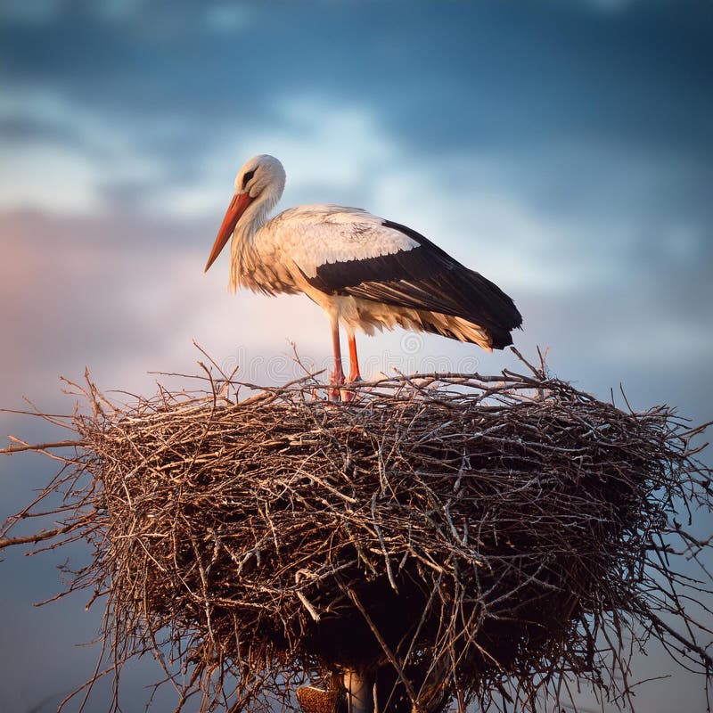 White Stork Bird Animal, AI Generated Stock Illustration - Illustration ...