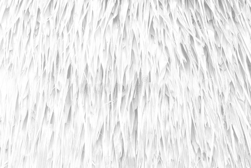 White Straw Wall Texture Background. Stock Image - Image of country ...