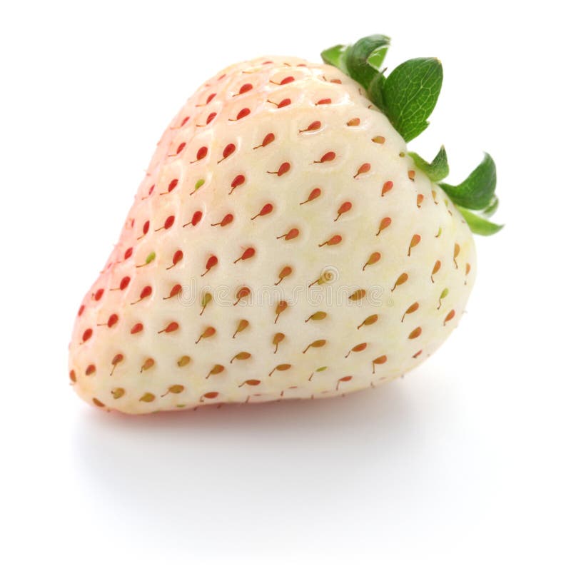 White strawberry stock image. Image of pine, healthy - 38745949