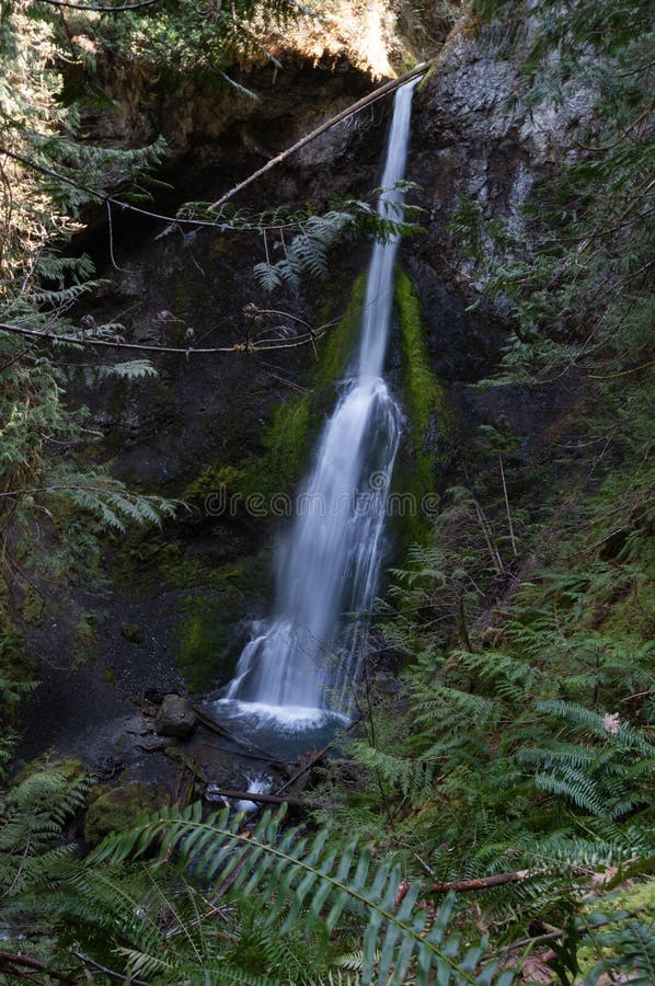 White Streams of Marymere Falls, Olympic Peninsula, USA Stock Image ...