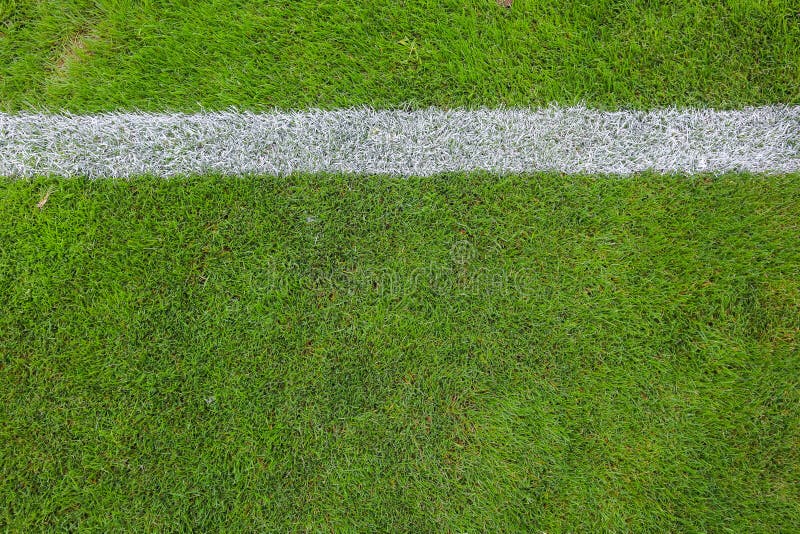 Artificial Grass for Playing Football, Marking on the Grass. Stock ...