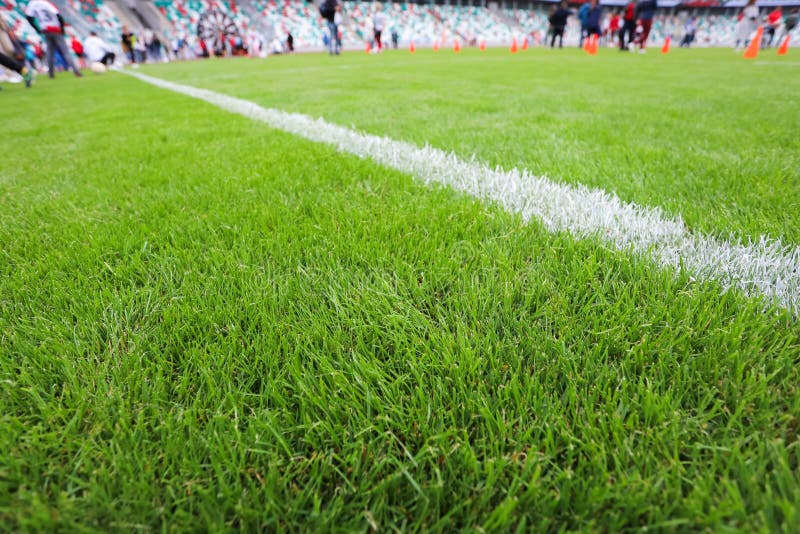 White Stripe on Green Grass on the Playing Field, Marking Stock Image ...