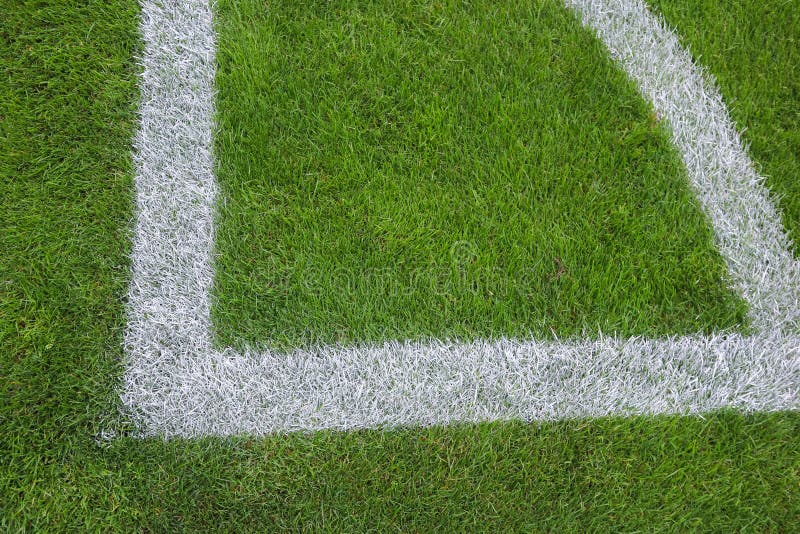 White Stripe on Green Grass on the Playing Field, Marking Stock Image ...