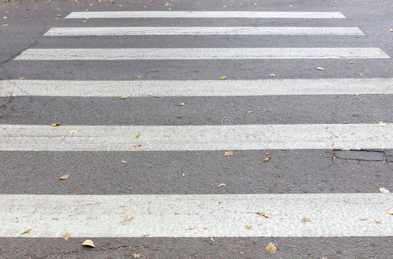 White Stripes on the Asphalt at a Pedestrian Crossing. Background Stock ...