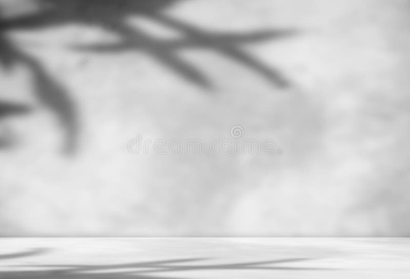 White Studio Room Shadow Background Table Product Overlay Light on Wall ...