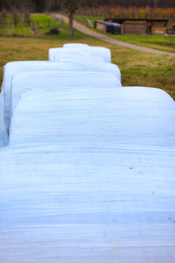 White stuff on a farm stock photo. Image of stuff, field - 135827070