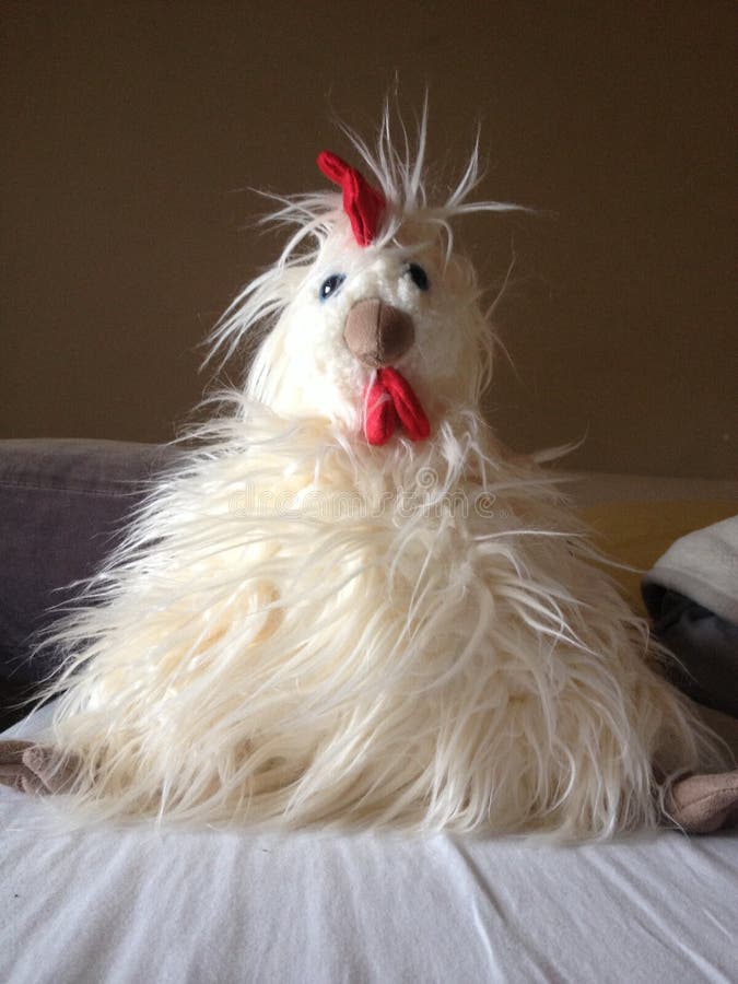 Chicken stuffed animal stock photo. Image of fluffy - 184276328