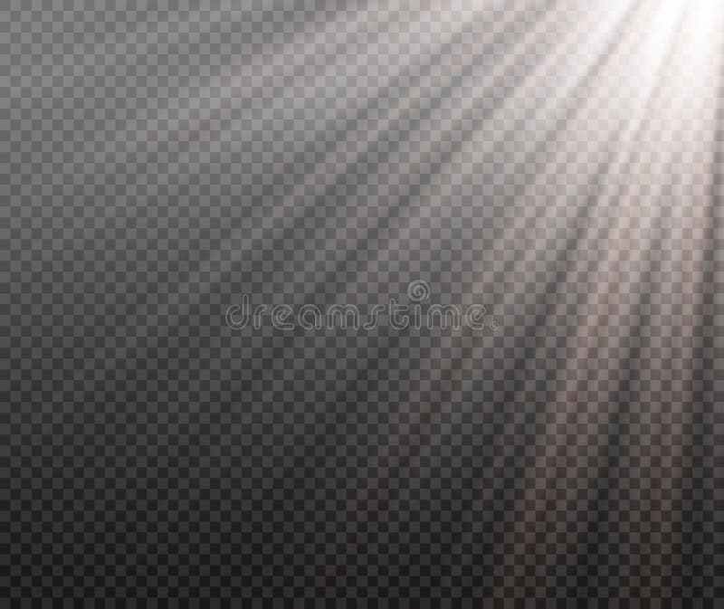 White Sunlight light stock vector. Illustration of glitter - 146419731