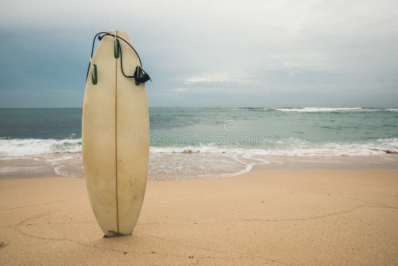 White Surfboard on beach stock image. Image of extreme - 133533655