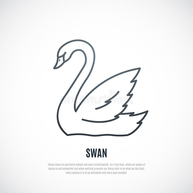 Calligraphy, swan stock vector. Illustration of drawing - 33576020