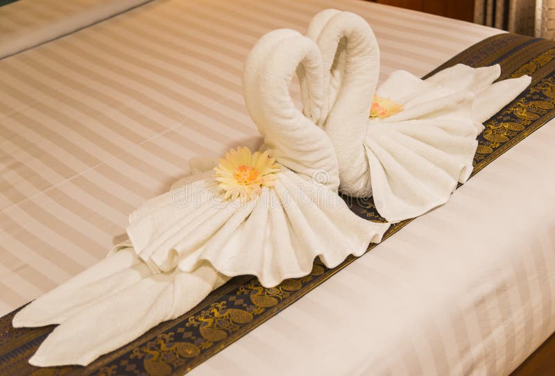 White Rose With Steel Fence Stock Photo - Image of landscaped, front ...