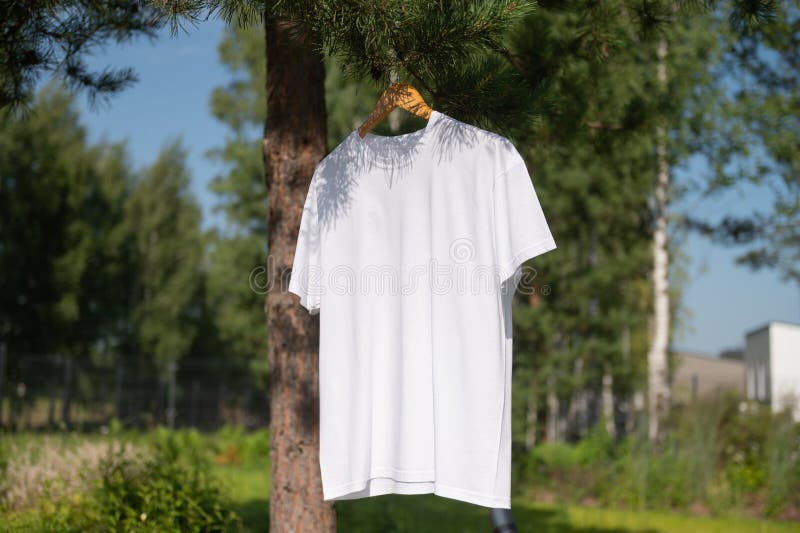 White T-shirt Hanging on a Hanger, Layout Stock Image - Image of grass ...