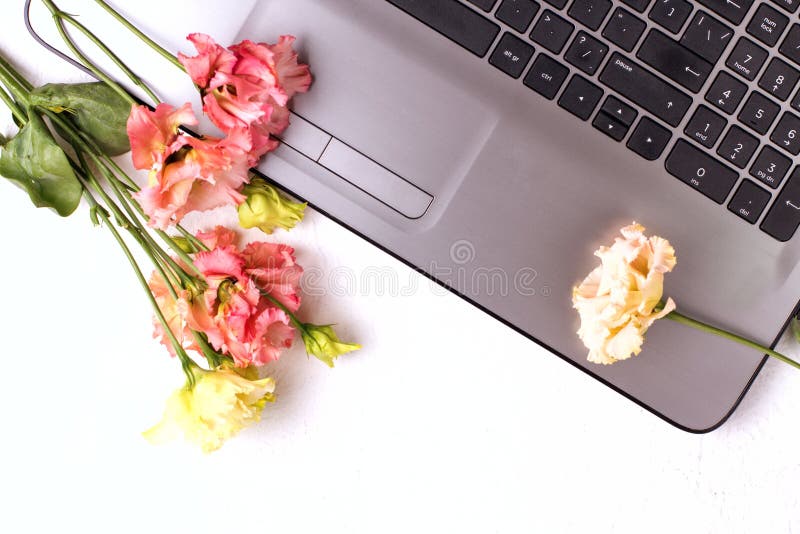 White Table with Laptop and Flowers. Freelancer Workspace Stock Photo ...