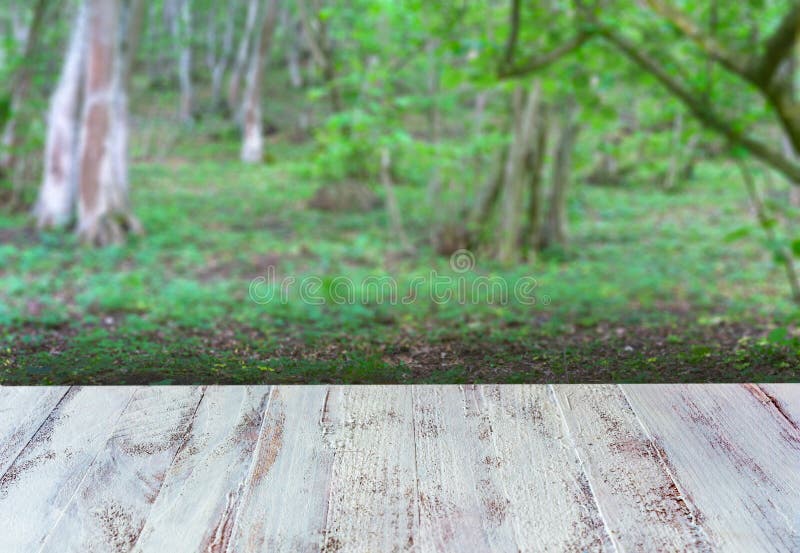 White Tabletop with Forest Background Stock Photo - Image of shift ...