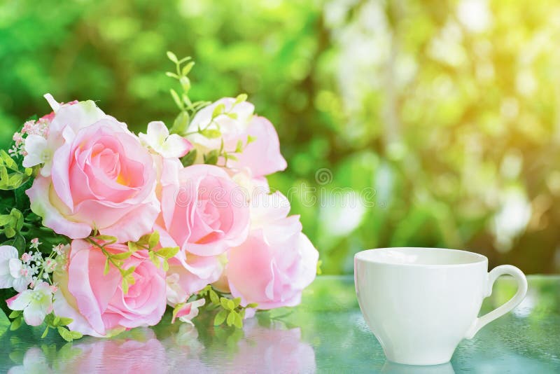 White Tea Cup with Sunshine Stock Photo - Image of petal, garden: 76038188