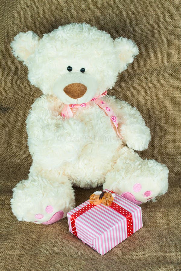 White Teddy Bear with Gift Box Stock Image - Image of animal, teddy ...
