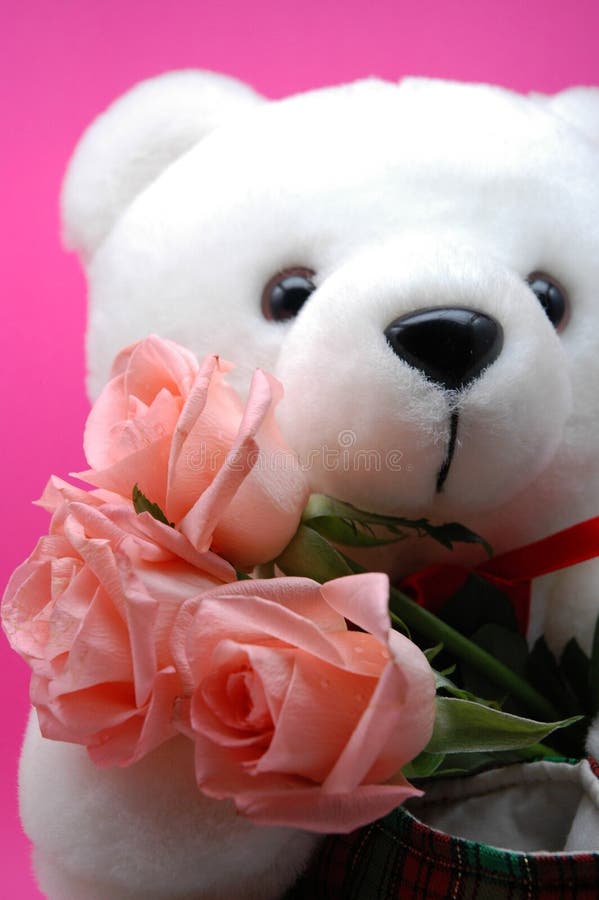 White Teddy Bear Images With Roses