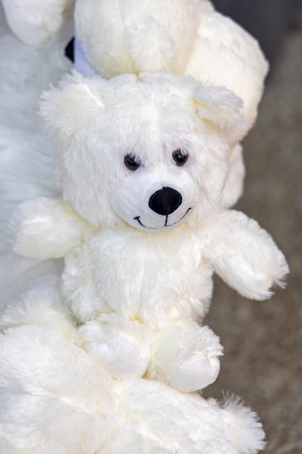 White Teddy Bear stock image. Image of pure, bear, animal - 261053549