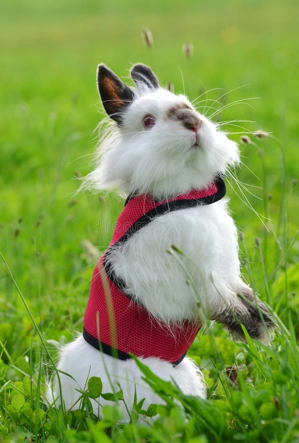 Vaclav Volrab (Vencavolrab) - Photographer profile