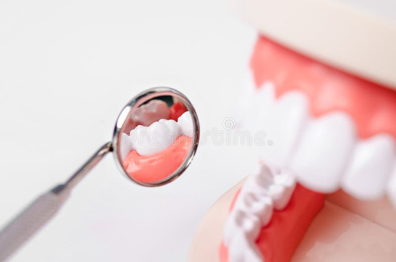 White Teeth and Dental Instruments. Stock Image - Image of health ...