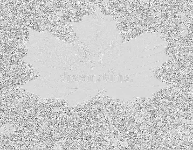 White Texture Background,abstract Background,White Rustic Texture,Black ...