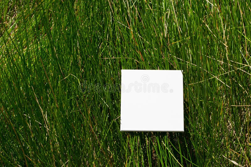 White Texture Rectangular Canvas Frame with Green Nature Grass in ...