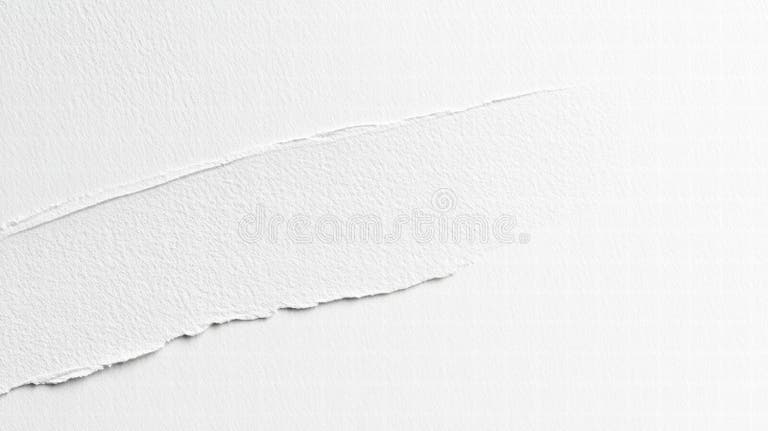 White Textured Paper Background with Torn Edge - Minimalist Design ...