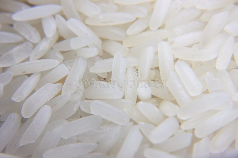 White Thai Jasmine Rice Grains by Macro Stock Image - Image of grains ...