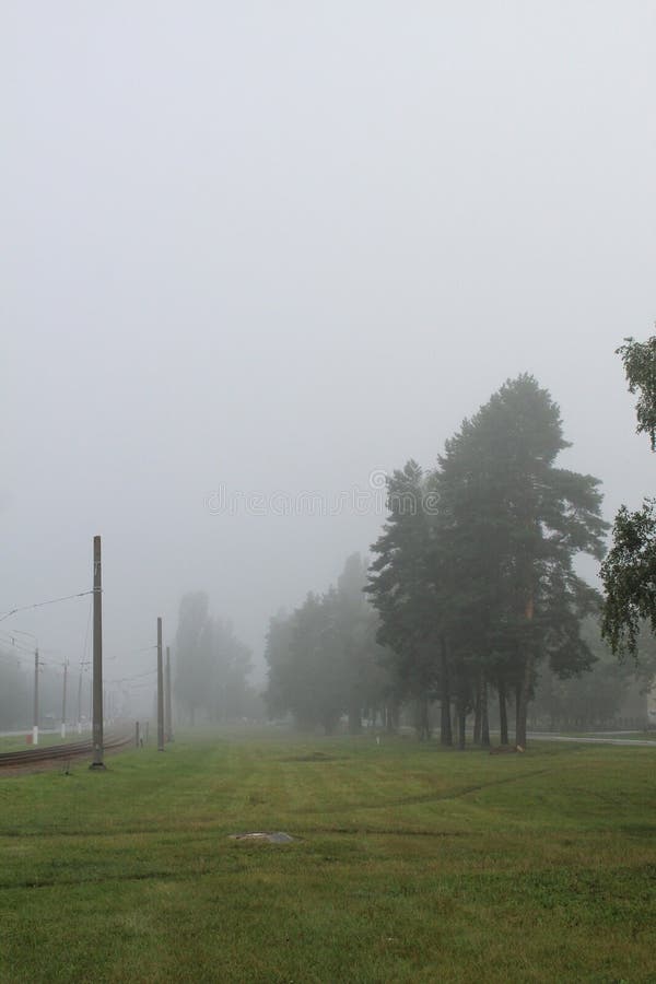A White Thick Fog Spreads on the Ground, Road, Asphalt. Summer Fog ...