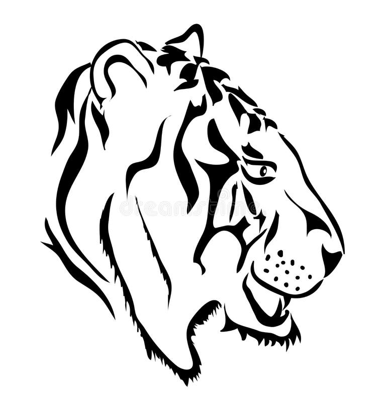 Tiger Side Head Stock Illustrations – 886 Tiger Side Head Stock ...