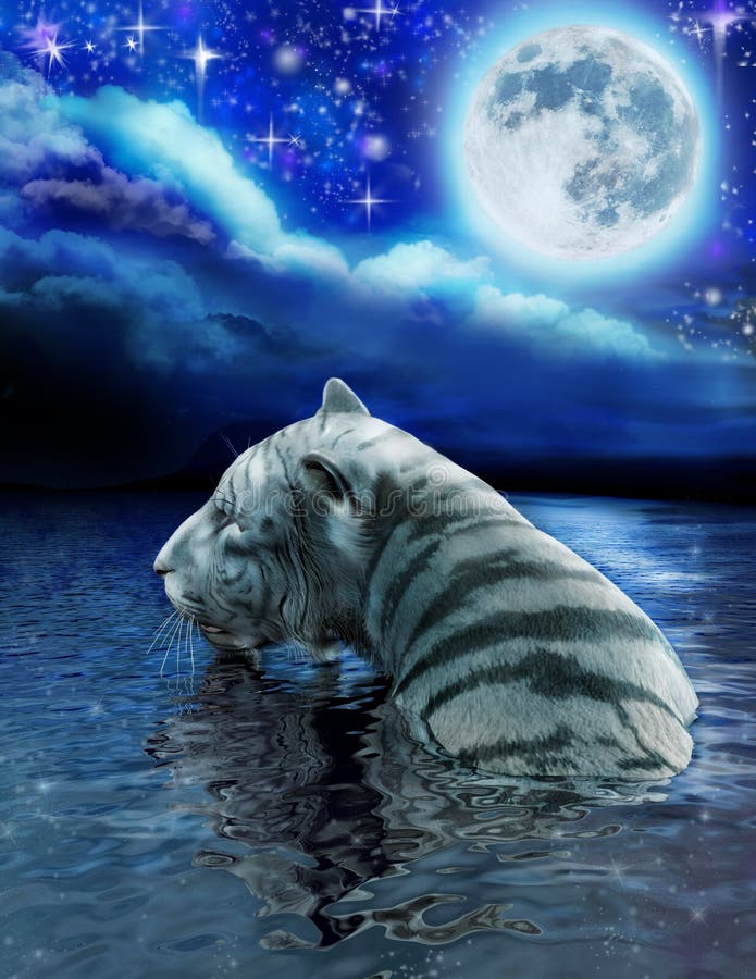 2+ Moon tiger white Free Stock Photos - StockFreeImages