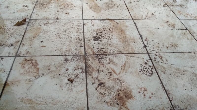 The White Tile Floors are Dirty and Muddy Stock Image - Image of tile ...