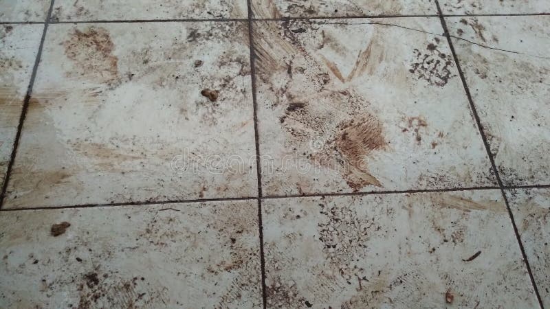 The White Tile Floors are Dirty and Muddy Stock Image - Image of ...