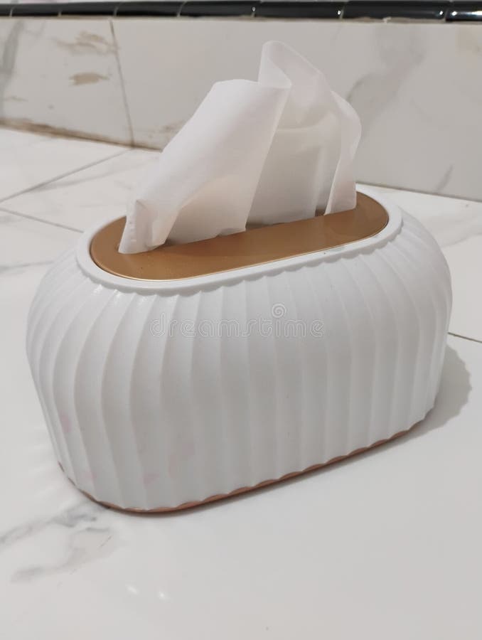 A White Tissue Box with a Modern, Ribbed Design and a Brown Top is ...