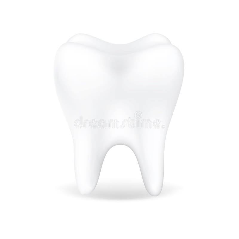 White Tooth - Vector Illustration. Dental Design Element Stock Vector ...