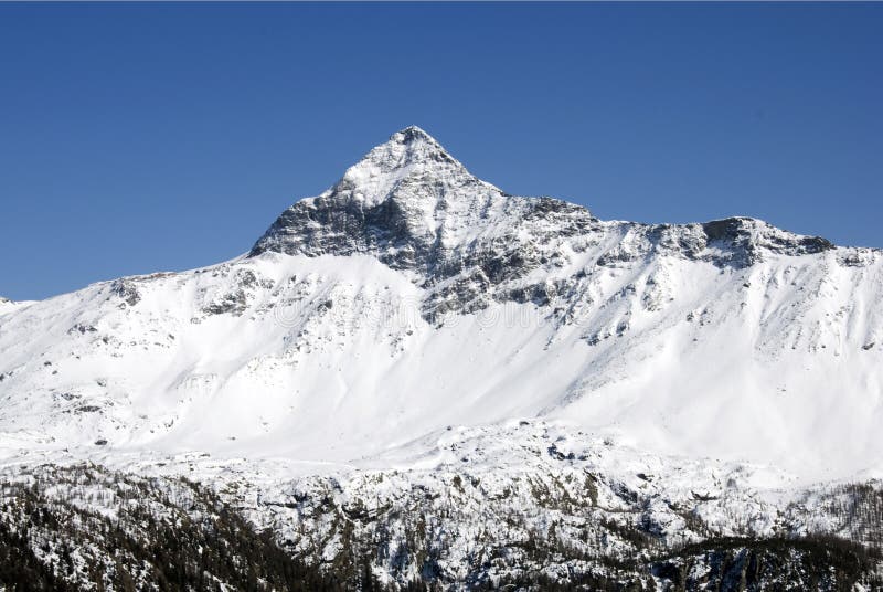 The White Top Picture. Image: 4783608