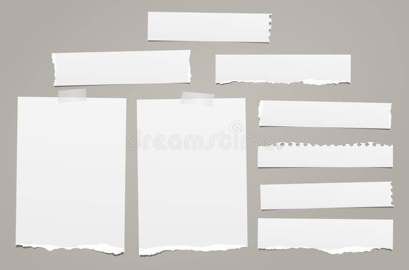 White Torn Note, Notebook Paper Pieces with Torn Edges Stuck on Gray ... White Torn Note, Notebook Paper Pieces with Torn Edges Stuck on Gray ...
