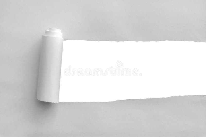 White Torn Paper Rolled Edge with Space Isolated on White Stock Image ...