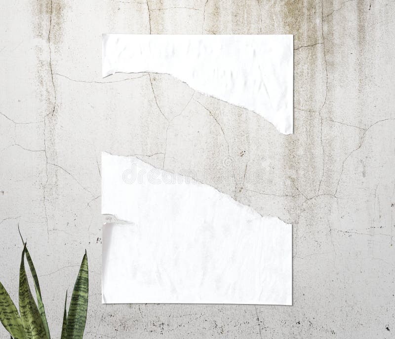 White Torn Paper Texture on the Wall Stock Photo - Image of torn, style ...