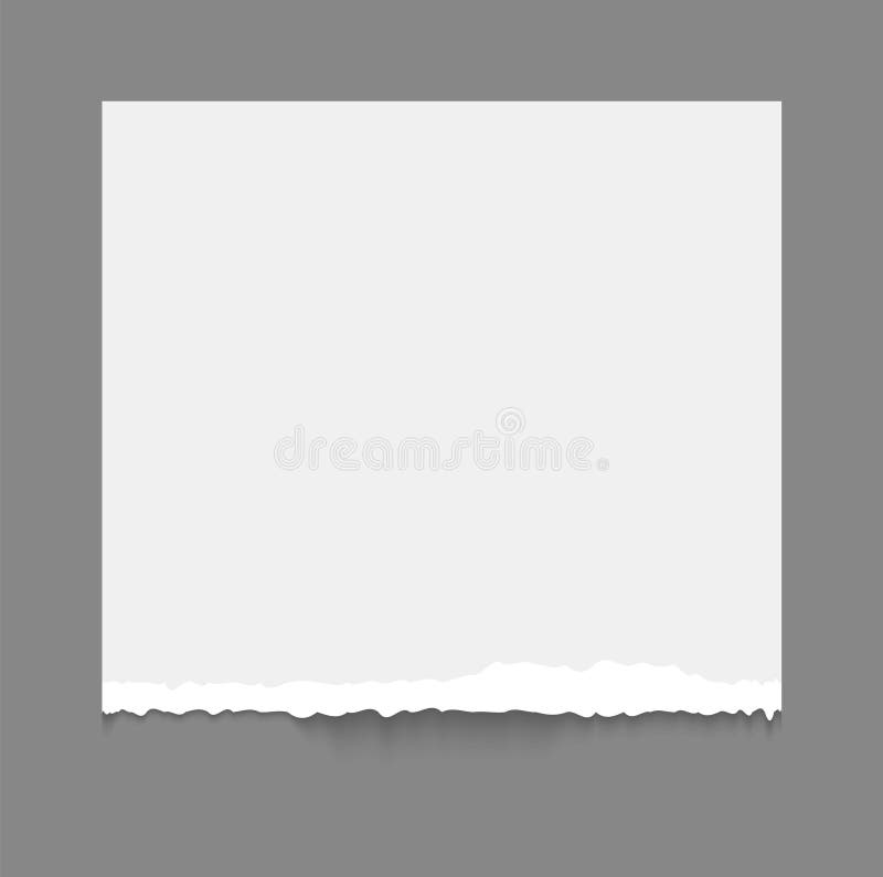 White Torn or Ripped Paper Sheet. Scrapbook Edge, Notebook Tear or ...