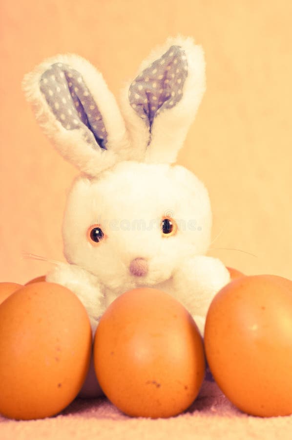 White toy rabbit with eggs stock photo. Image of style - 50279634