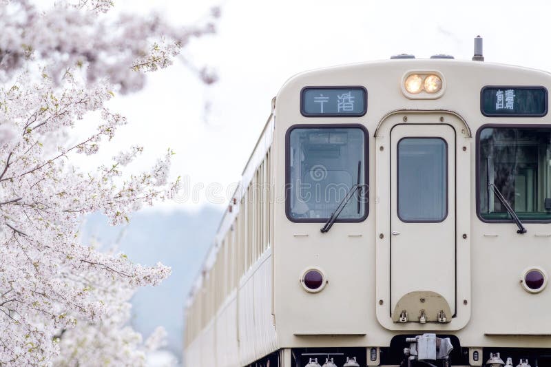 A White Train Travels Along the Tracks Near a Tall Tree Stock Image ...