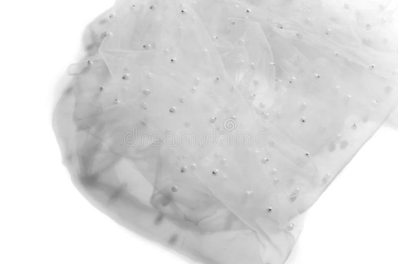 White Translucent Fabric, Embroidered with Beads. this Dimension Stock ...