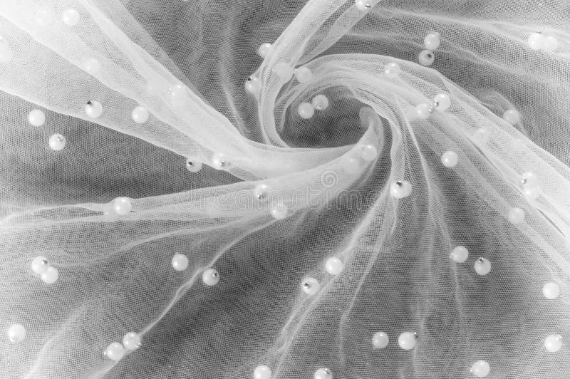 White Translucent Fabric, Embroidered with Beads. this Dimension Stock ...