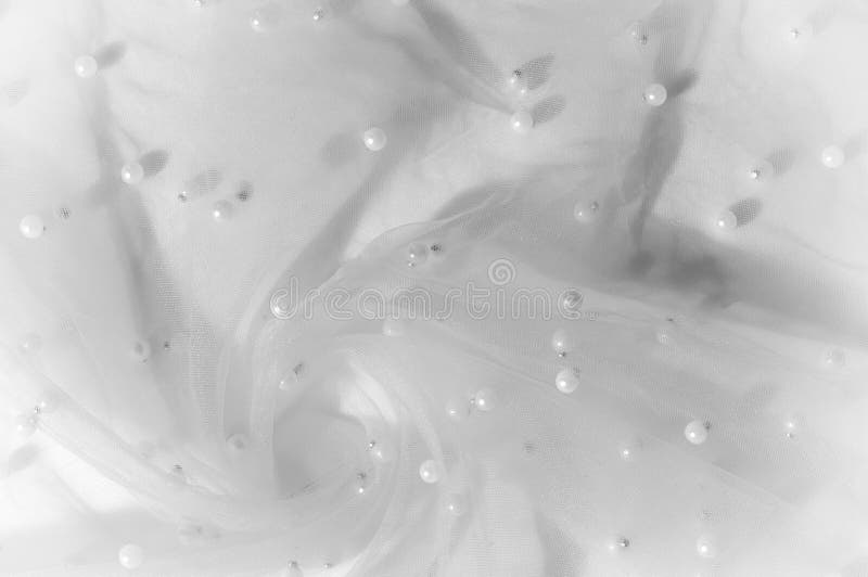 White Translucent Fabric, Embroidered with Beads. this Dimension Stock ...