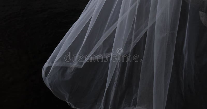 A White Translucent Veil Blowing in the Wind. Wedding Veil on a Dark ...