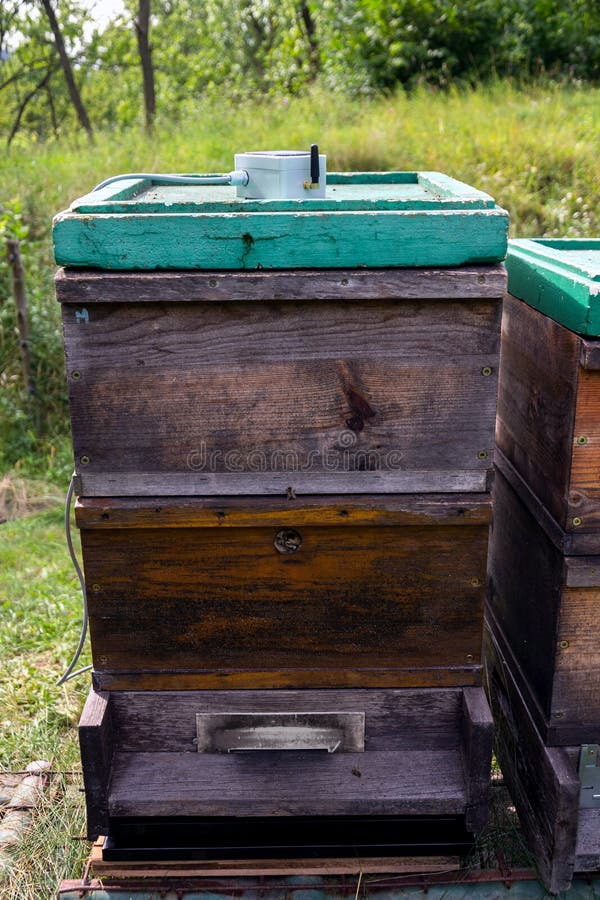 White Transmitter with Small Solar Panel and Bees Monitoring System on ...